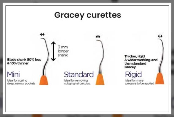 Know All About a Dental Gracey Curette - Engiomed Medical Equipment