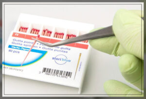 Dental Gutta-Percha: Use and Benefits - Engiomed